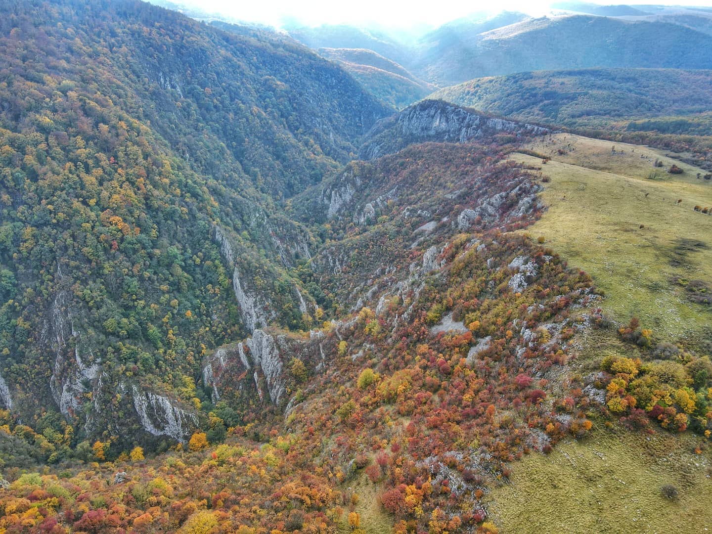 Rezervația Naturală Cheile Gârliștei, una dintre cele mai sălbatice ...