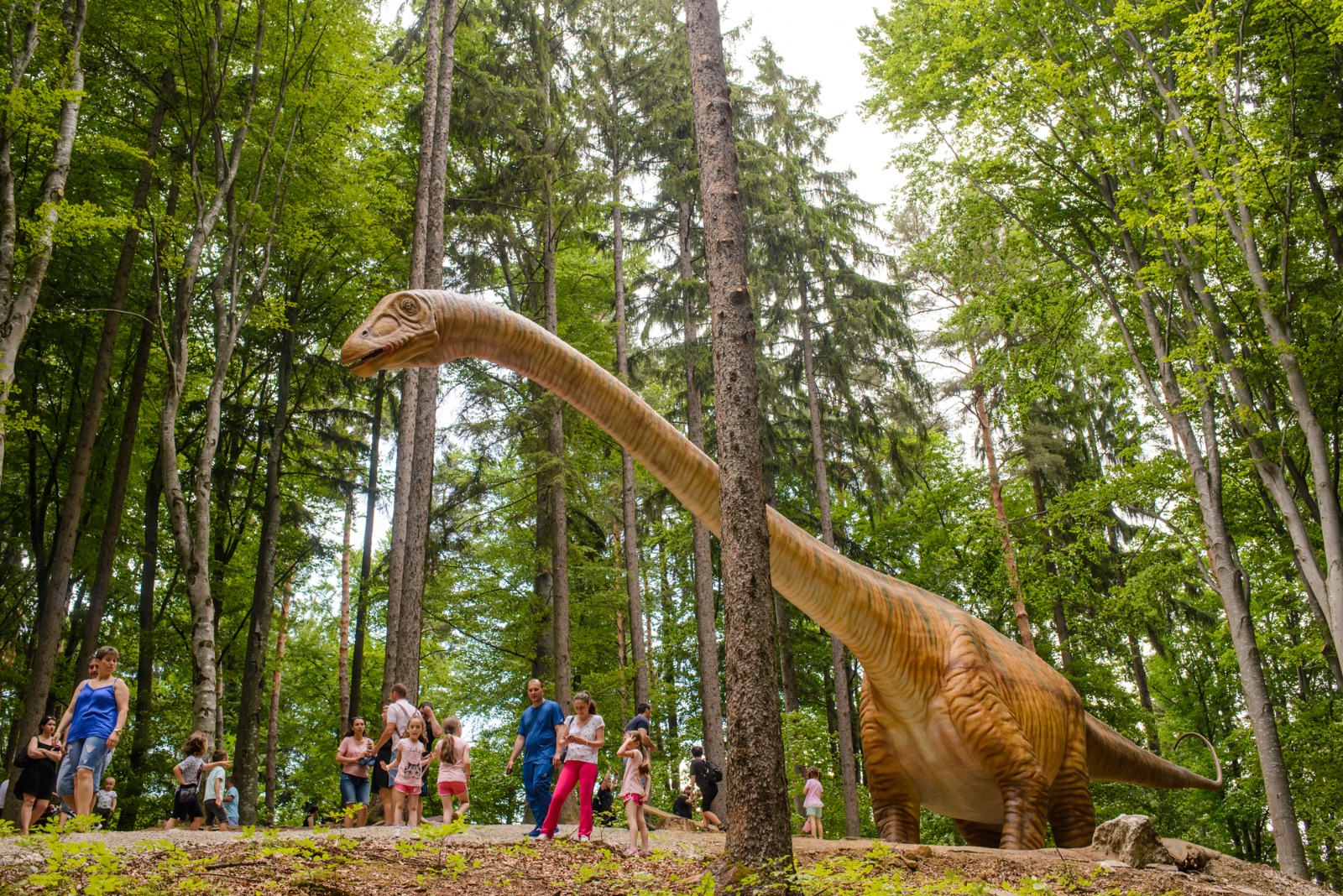 Dino Parc Râșnov, Marele Premiu al publicului la Destinația Anului ...