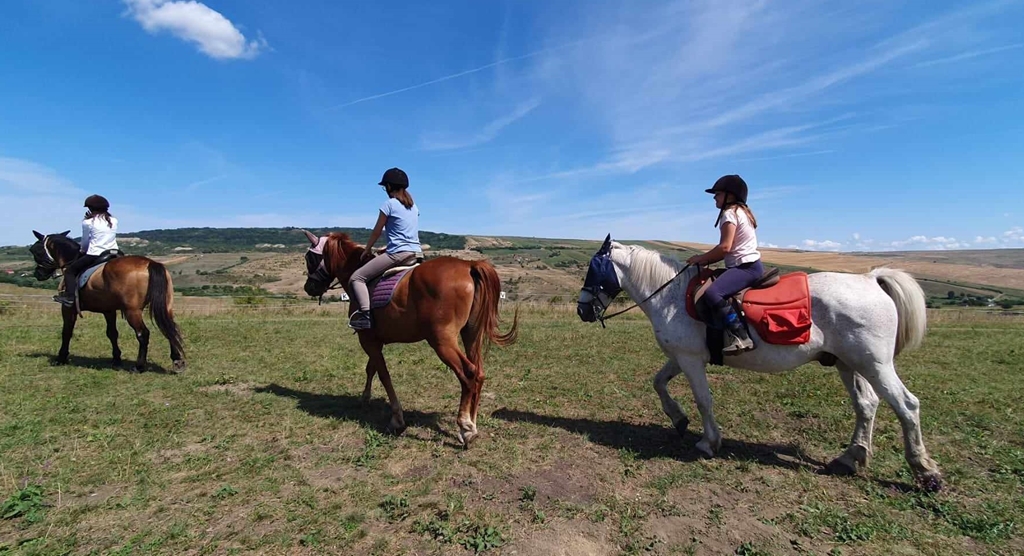 Vacanță cu calul preferat, pe Valea Fânațelor - Radio Vacanța
