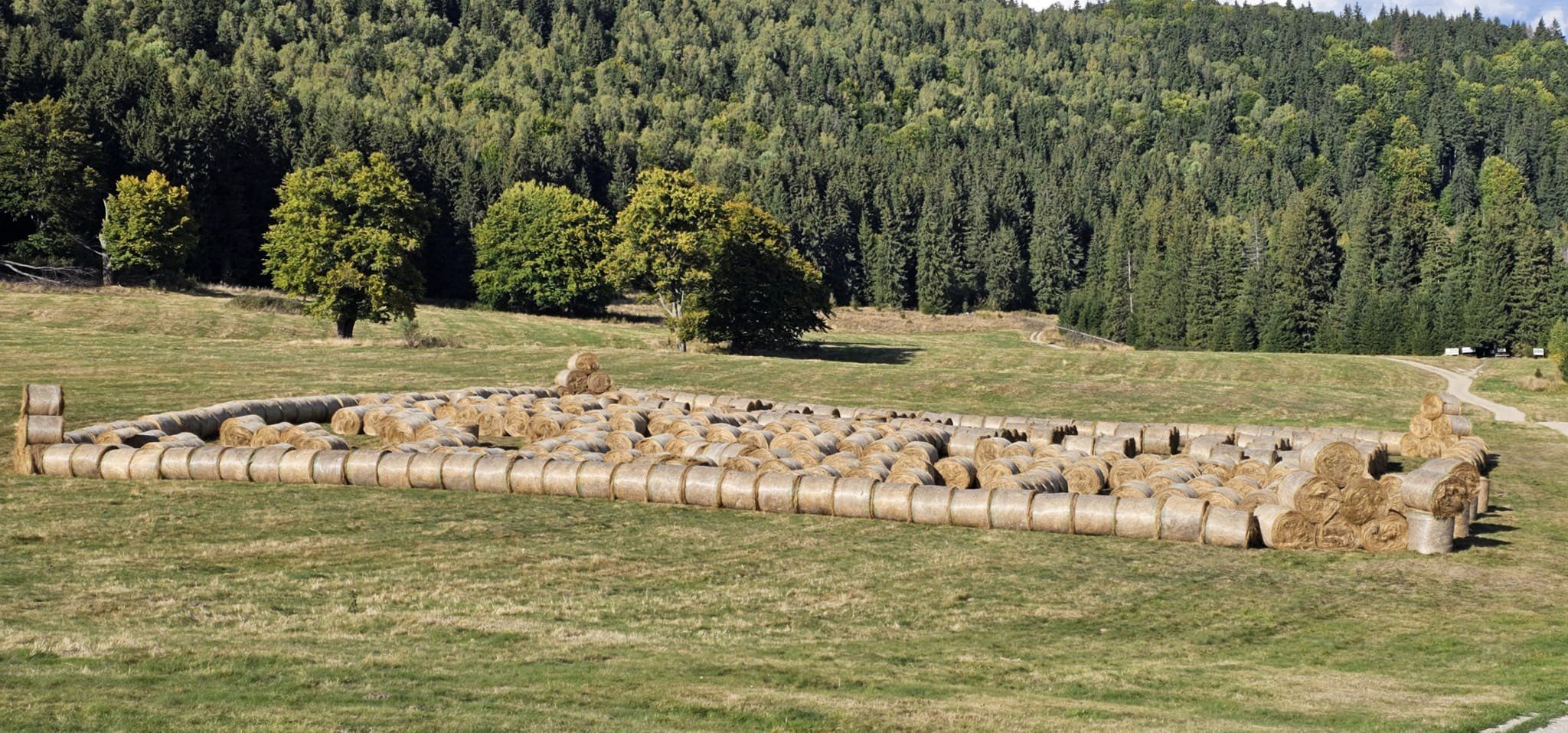 Labirint din baloţi de fân, la Lacul Sfânta Ana - Editia de Dimineata
