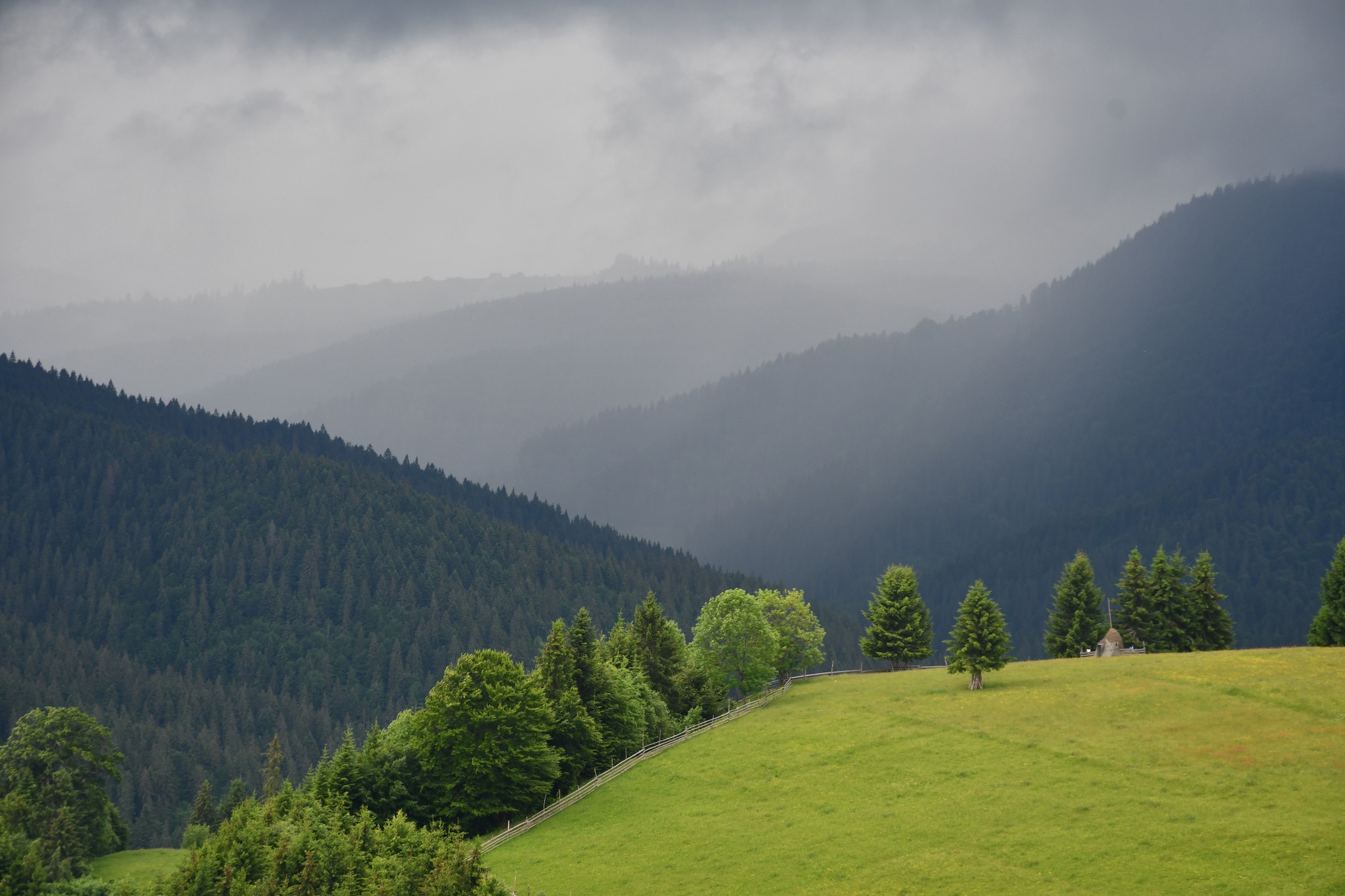 Leapșa între centrele Europe Direct, pe Via Transilvanica - Radio Vacanța