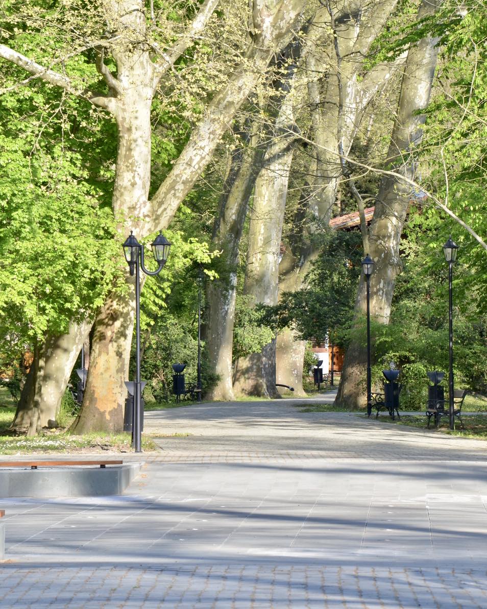 Parcul dendrologic din Buziaș, destinație de weekend - Radio Vacanța