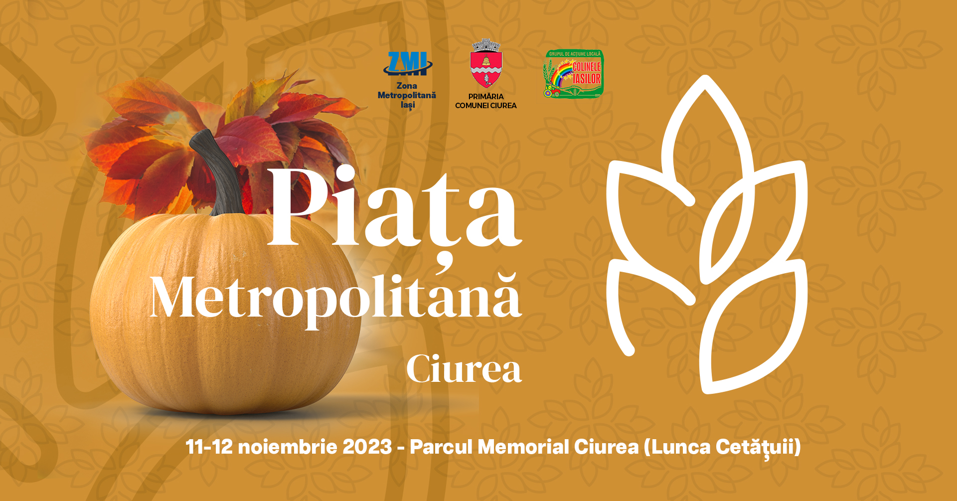 IAȘI: Piața Metropolitană, în comuna Ciurea - Radio Vacanța