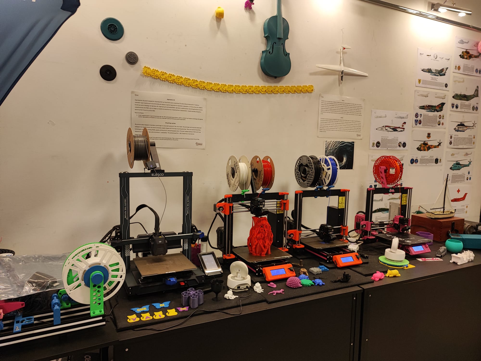 Interviu cu Ioana Borșan, fondatoarea Muzelui de Științe din Brașov ...