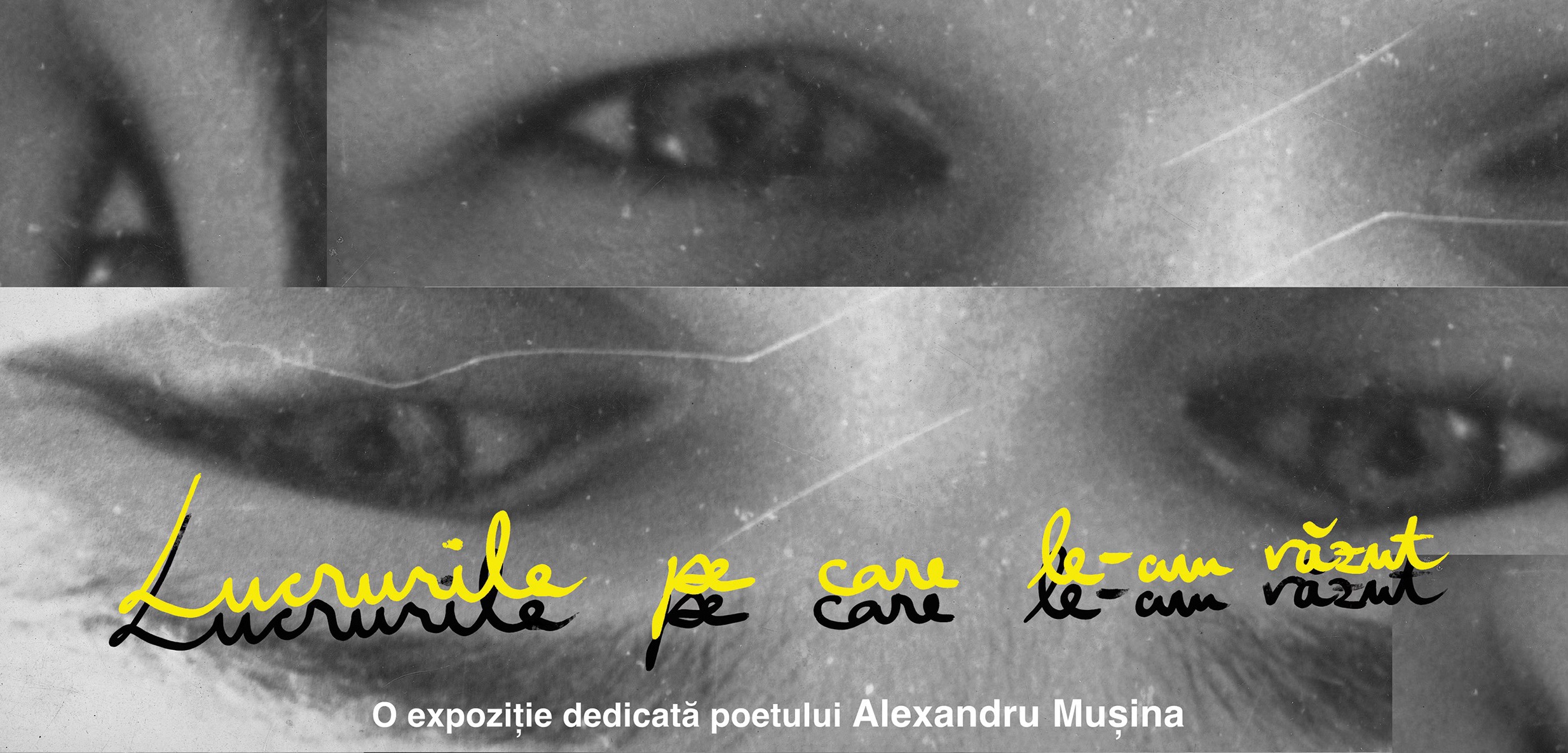 BRAȘOV: „Lucrurile pe care le-am văzut”, expoziție dedicată lui ...