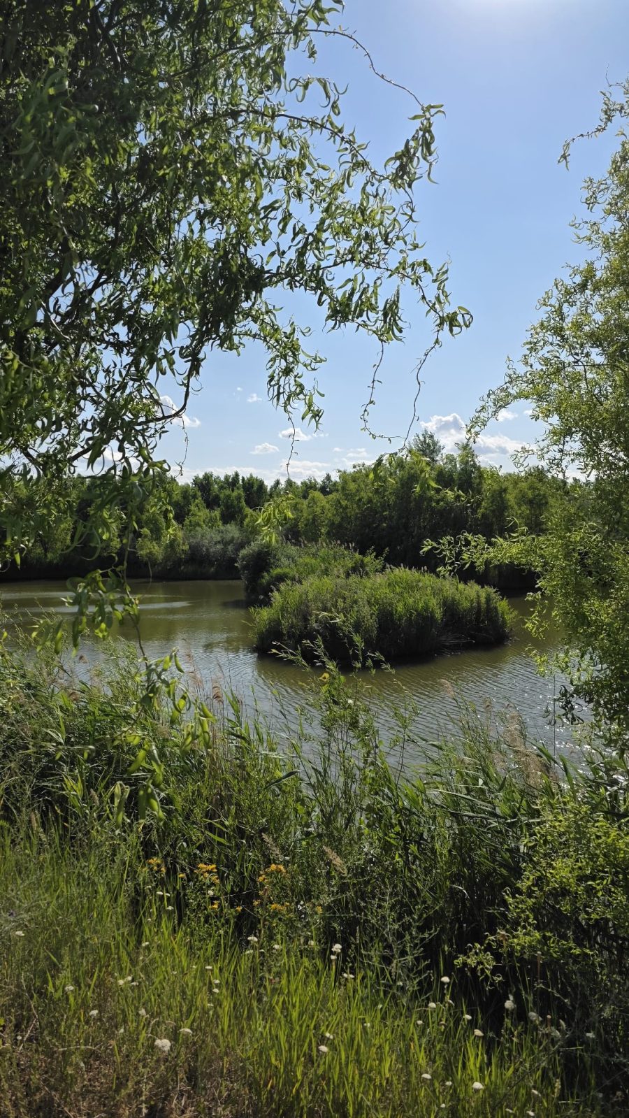 Zaga Zaga, un colț feeric din Delta Siretului - Radio Vacanța